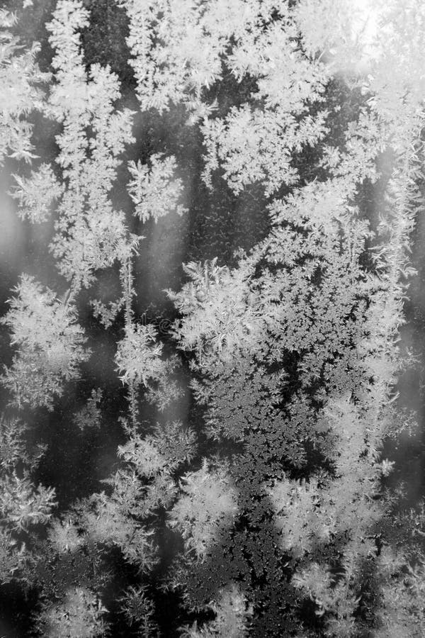 Frost patterns stock image. Image of shape, glass, close - 242638517