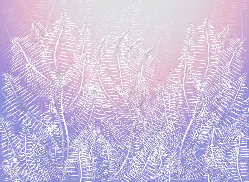 Frost Patterns on the Window, Vector Stock Vector - Illustration of ...