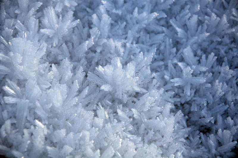 Frost & Snow Ice Crystals Stock Photo - Image of temperature, frozen ...