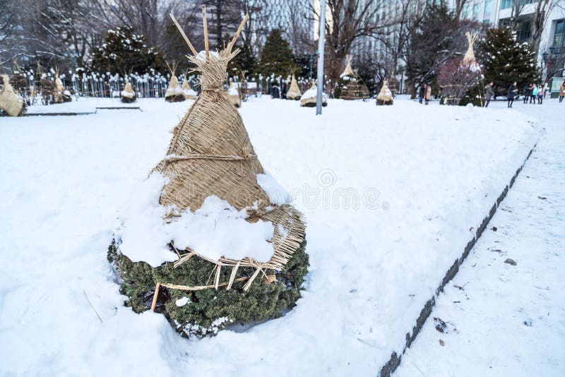 Frost and Snow Shield on Plants and Trees during Winter Stock Image ...