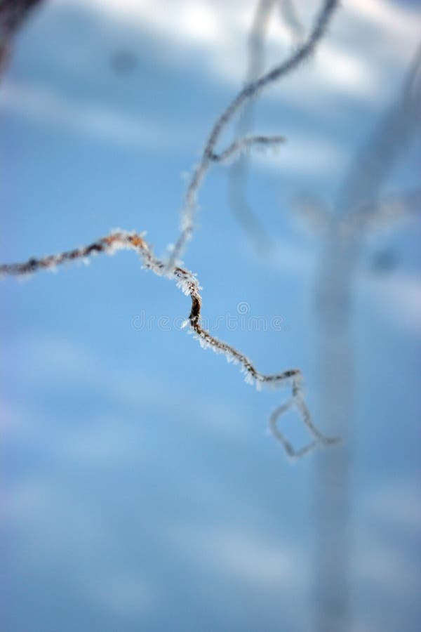 Detail of Frost on a Needle-shaped Window 2 Stock Photo - Image of ...