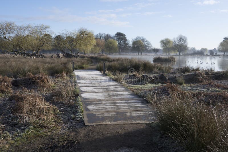Frost on the walkway stock image. Image of walkway, relax - 309732903