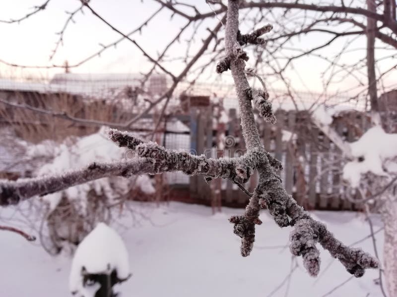 Frost on the Windows on a Cold December Morning Stock Photo - Image of ...