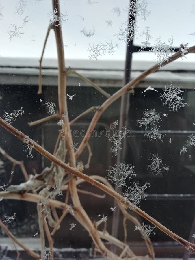 Frost on the Windows on a Cold December Morning Stock Image - Image of ...