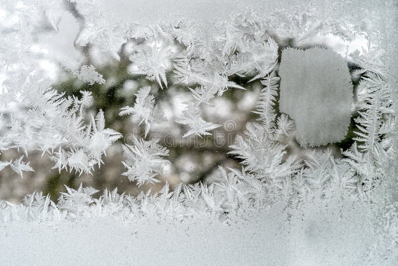 Frost stock photo. Image of closeup, winter, frost, natural - 47633954