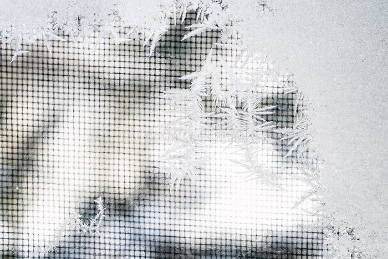 Frost stock photo. Image of back, closeup, crystal, detail - 50607020