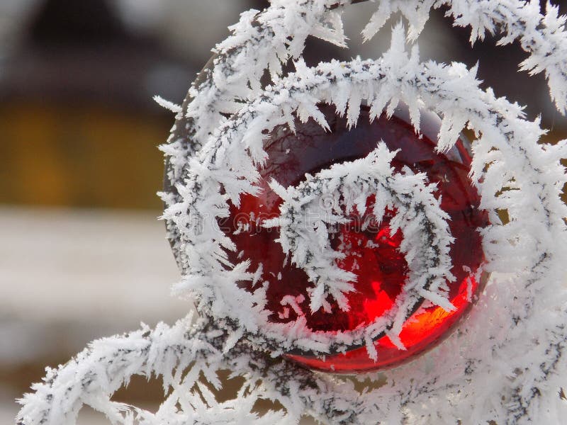Frost, Winter, Freezing, Snow Stock Photo - Image of winter, freezing ...