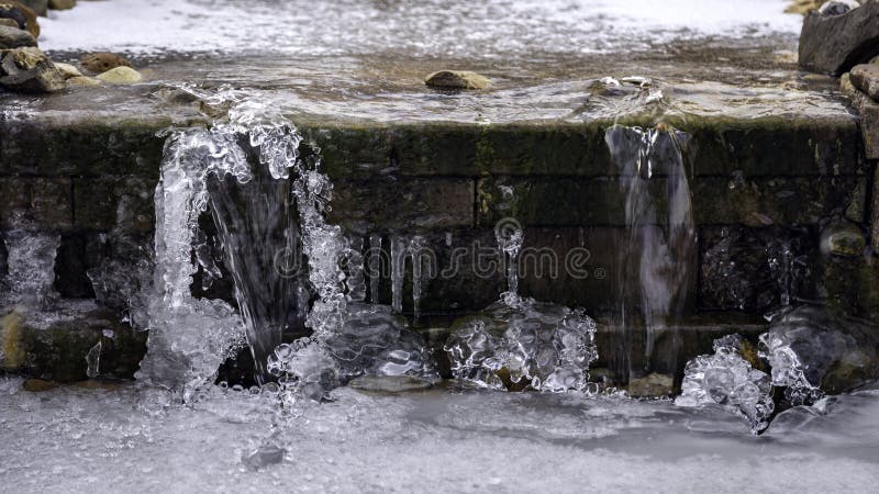 Frost in Winter Turns Water into Beautiful Solid Elements that, in ...
