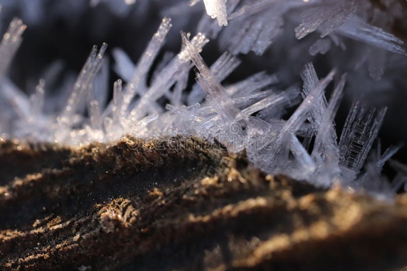Frost Wood with Frosty Crystals Macro Stock Photo - Image of tree ...