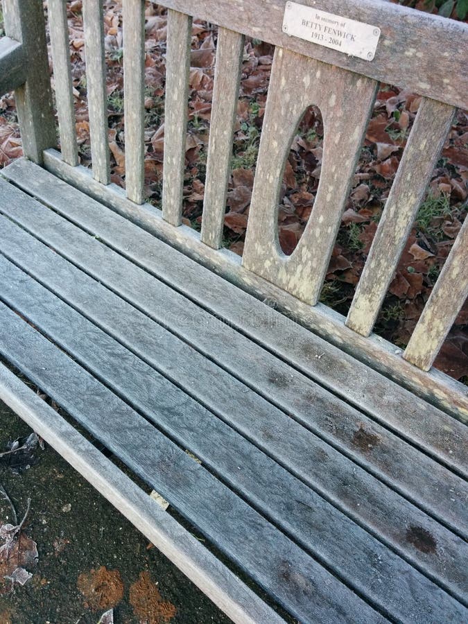 Frost Wooden Bench Cold Winter Editorial Image - Image of cold, walkway ...