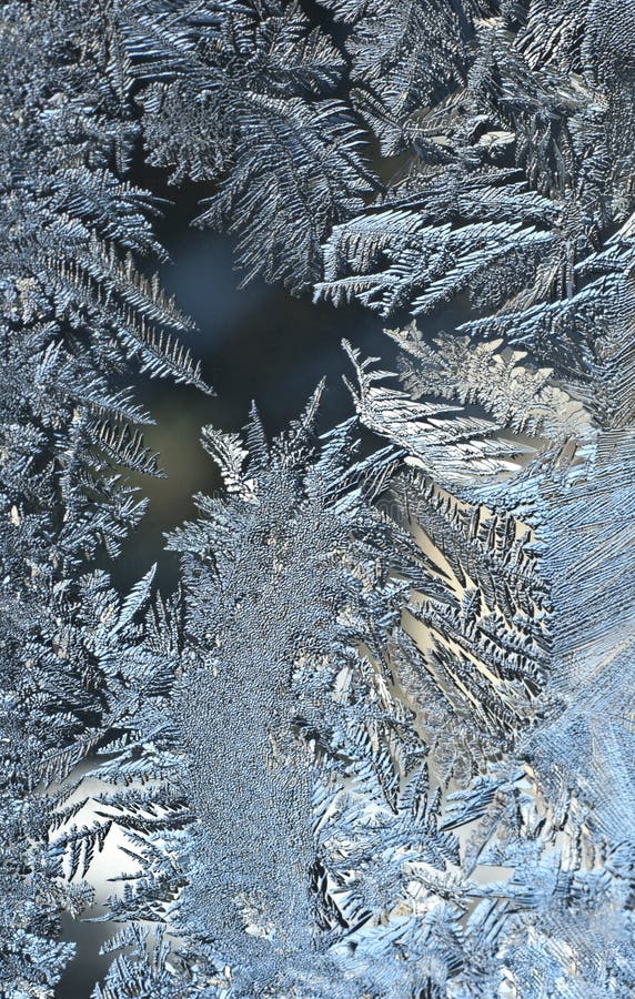 Frost stock photo. Image of nature, texture, trees, park - 36046782