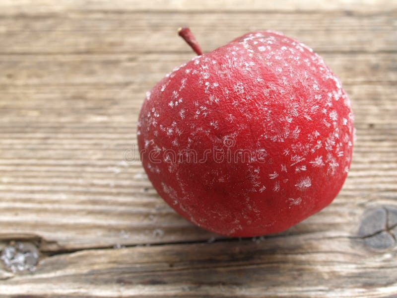 Frosted Christmas apple stock image. Image of cold, star - 27394491