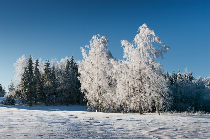 Frosty morning stock image. Image of nature, freeze, blue - 30066903