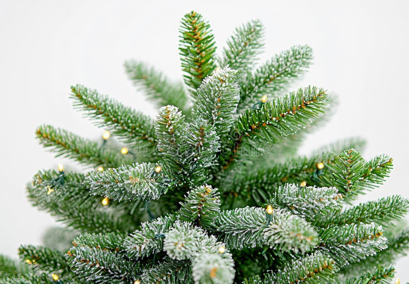 Frosted Christmas Tree Branch with Lights Stock Illustration ... Frosted Christmas Tree Branch with Lights Stock Illustration ...