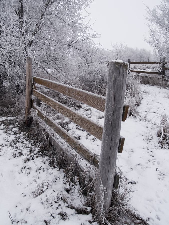 Frosted Fences stock photo. Image of farm, farming, snow - 5423750