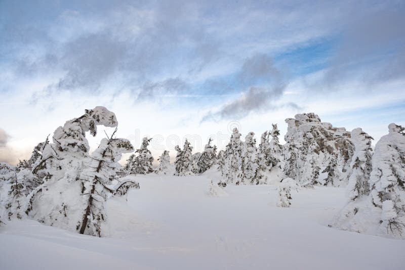 Frosted Forest on Snow Covered Mountain Range Stock Image - Image of ...