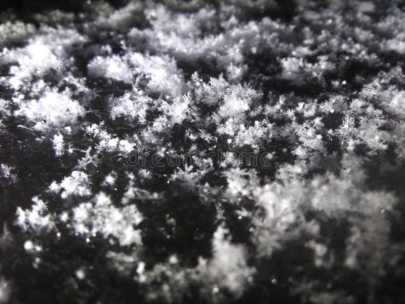 Frosted ice on the Crick stock image. Image of frosted - 191949625