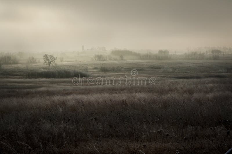 Frosted Morning stock photo. Image of plains, trees, nature - 24997488