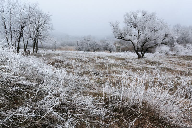 Frosted morning hill IV stock photo. Image of grass, freeze - 64163436