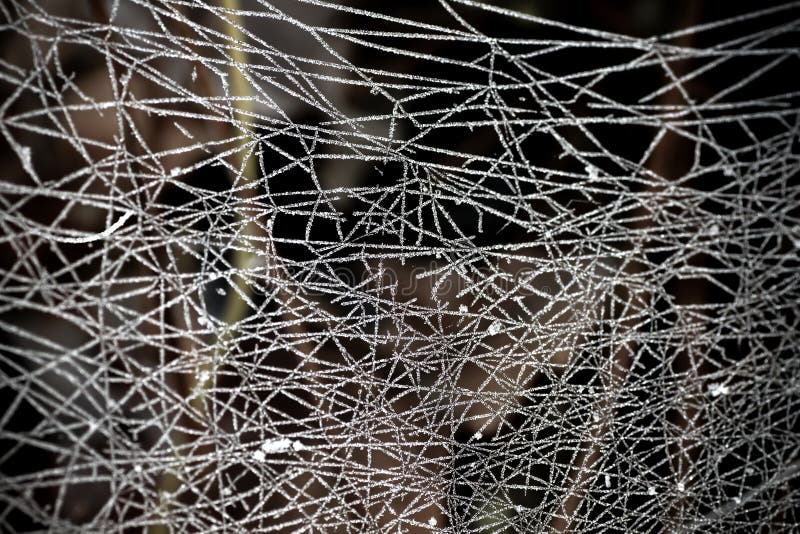 587 Broken Spider Web Stock Photos - Free & Royalty-Free Stock Photos ...