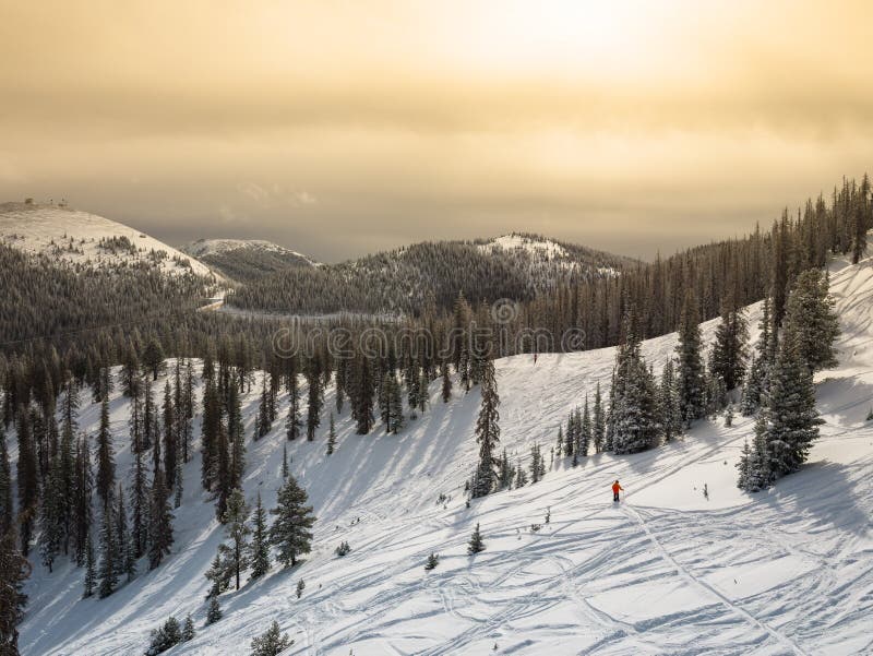 Frosted trees in Colorado stock image. Image of bounds - 134479375
