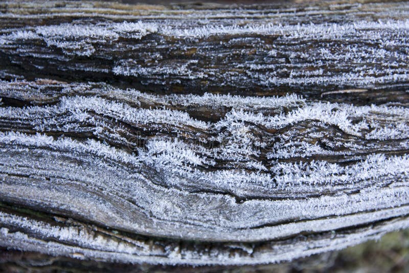 Frosted wood stock image. Image of bright, view, frost - 29192187