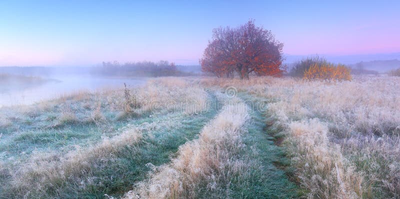 Frosty autumn morning stock image. Image of white, outdoor - 105121321