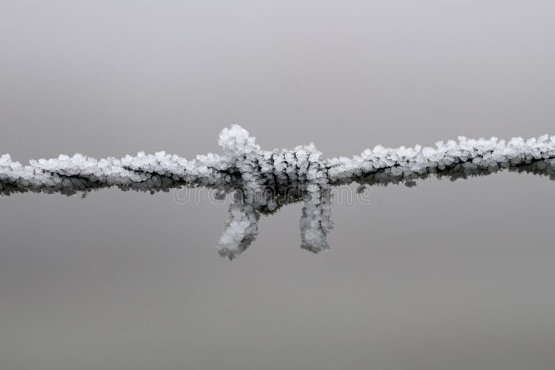 Frosty Barbed Wire Fence Abstract Stock Photo - Image of form ...