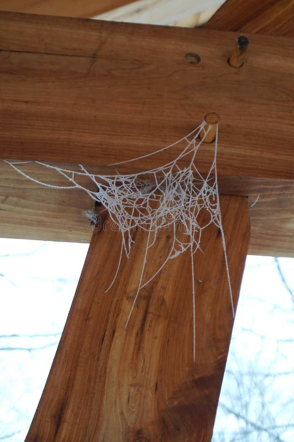 Frosty Cobweb Hanging from High End Lumber Structure Stock Photo ...