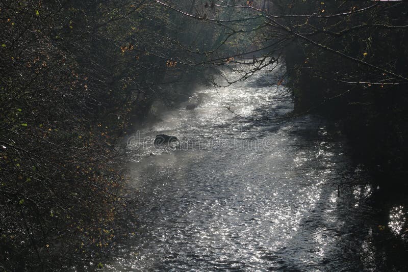A Frosty Day on the River Cynon Stock Image - Image of cynon, snow ...