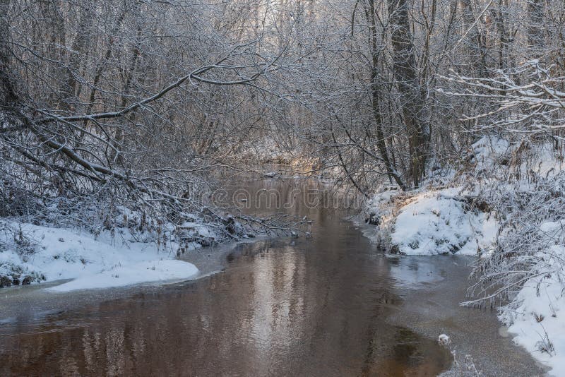 Frosty Day at the Riverside. Winter Forest Covered with Snow Stock ...