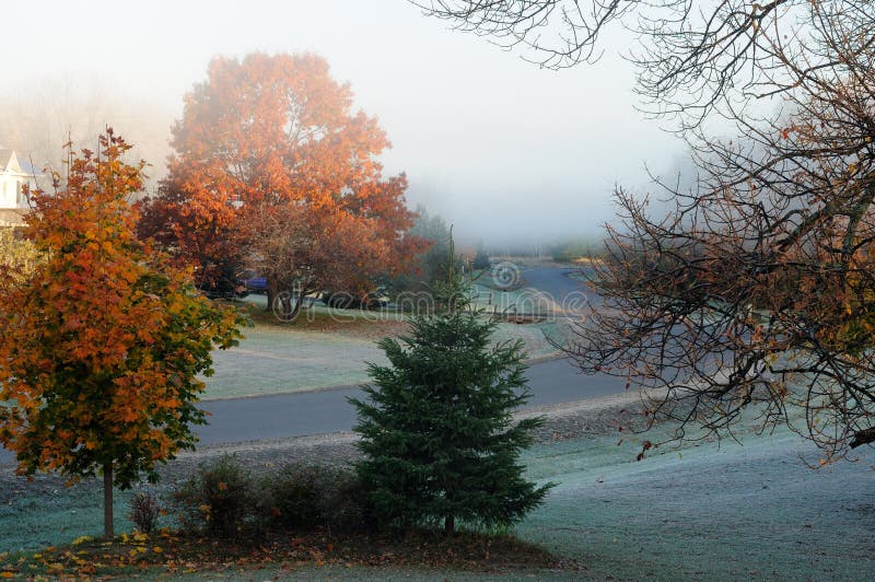 Frosty Fall Morning stock photo. Image of frost, fall - 7122878
