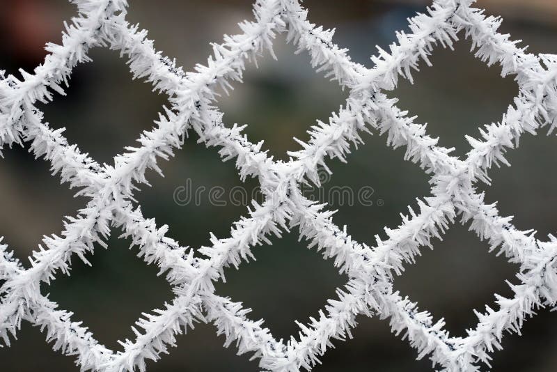 Frosty Fence stock photo. Image of season, scene, forest - 350122
