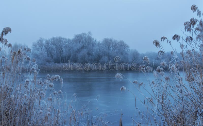 Frosty Landscape a Winters Day Stock Image - Image of natural, scenery ...