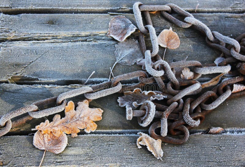 Frosty leaves and chain stock photo. Image of autumn - 27506924