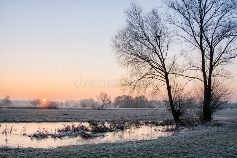 Frosty Morning stock photo. Image of trees, frost, sunrise - 83200984