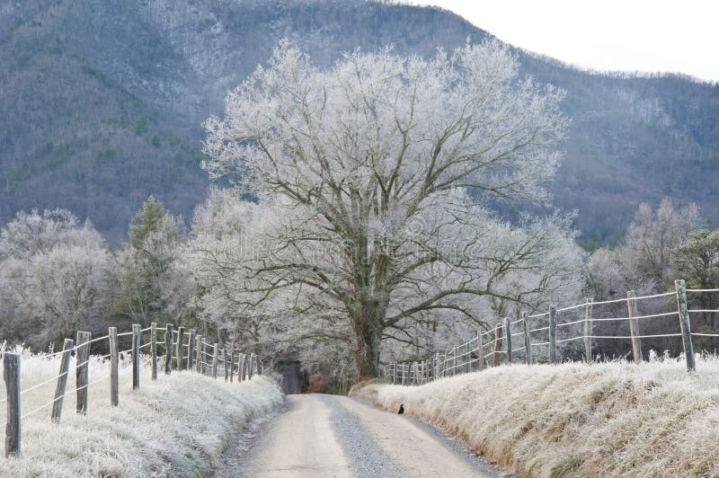 A Frosty Morning in the Mountains Stock Image - Image of cove, white ...