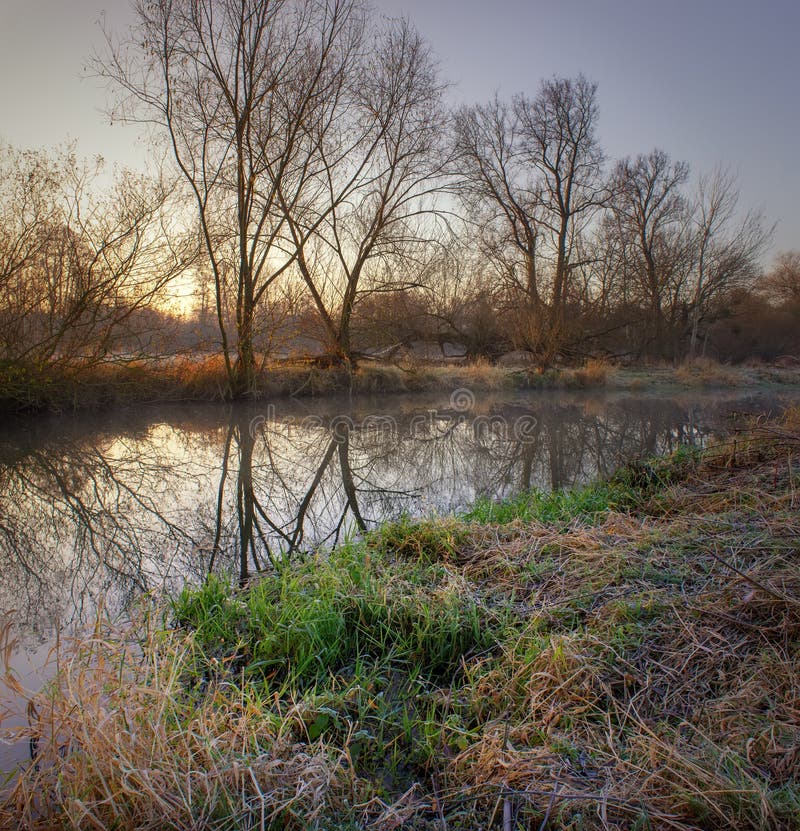 Frosty Morning on the River Stock Image - Image of frosty, leaves ...