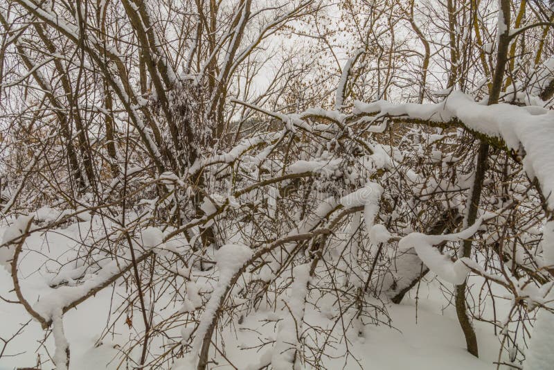Frosty Morning in the Russian Village Stock Image - Image of house ...