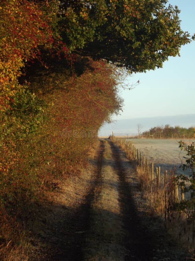 A Frosty Morning Walk stock photo. Image of walk, spring - 89539090