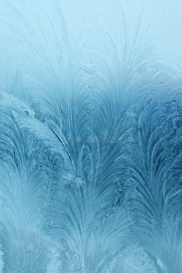 Frosty natural pattern #3 stock photo. Image of christmas - 3573666