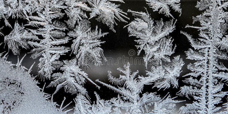 Dendritic Patterns Stock Photos - Free & Royalty-Free Stock Photos from ...