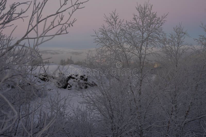 Frosty Nature Landscape with Trees, Sky and Sun Stock Photo - Image of ...