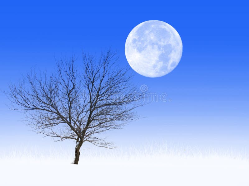 Frosty Night Picture. Image: 3906868