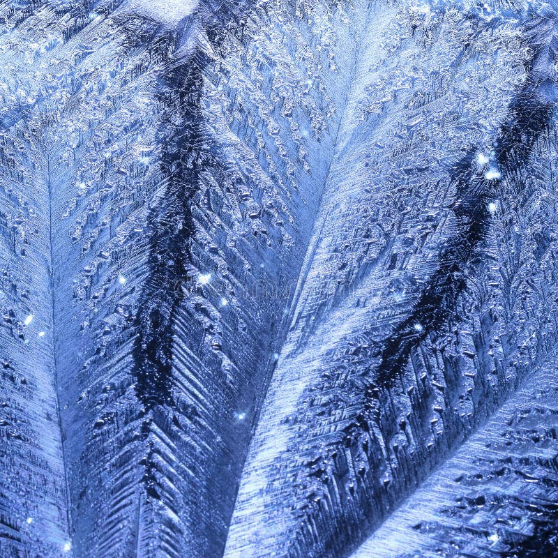 Frosty pattern on glass stock photo. Image of nature - 123936610