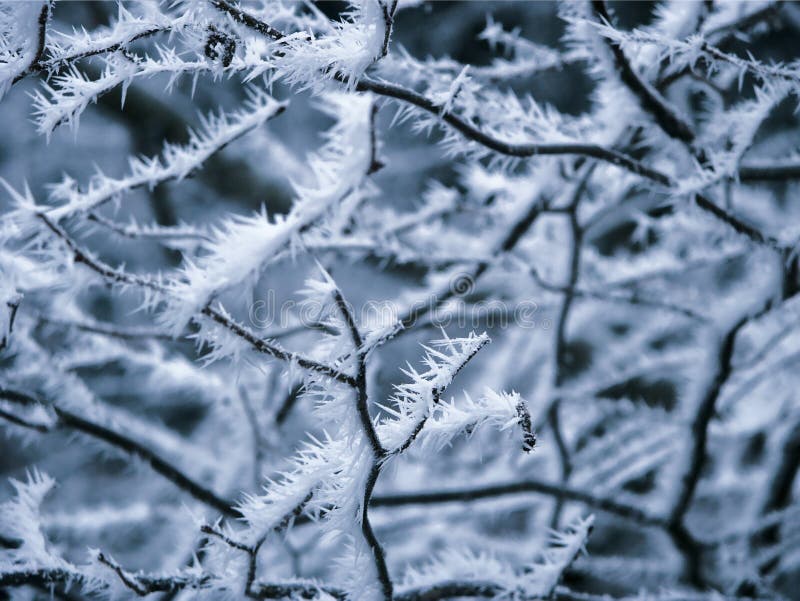 Frosty Rime stock image. Image of sharp, covered, crystal - 33843779