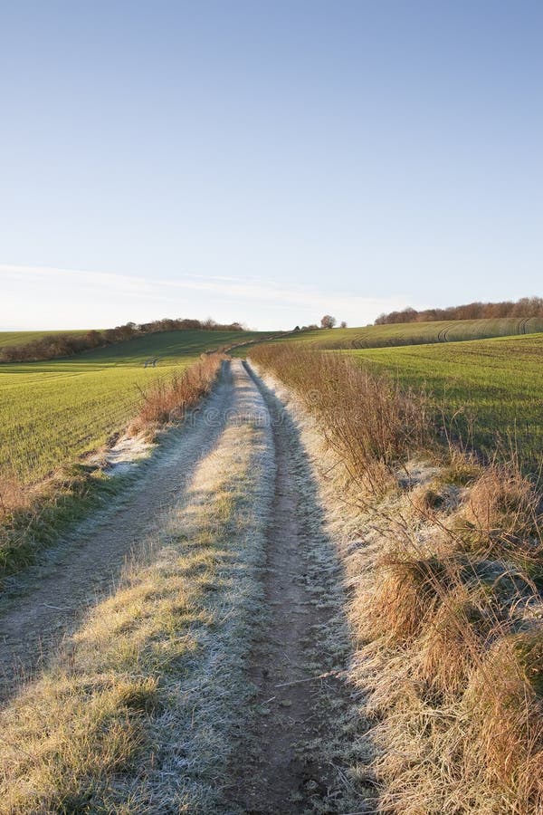 Frosty Road stock photo. Image of fields, front, portrait - 16857094