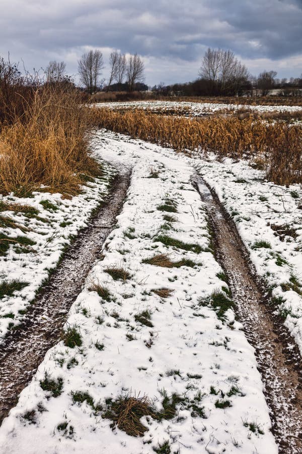 Frosty Roadtrack on Funen, Denmark Stock Image - Image of environment ...
