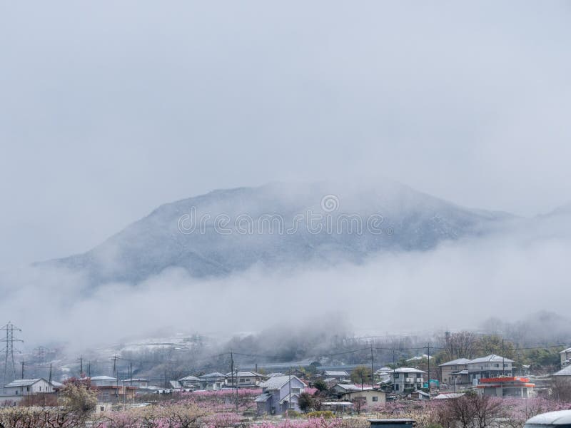 Frosty Scenery in the Japanese Countryside in Winter Stock Photo ...