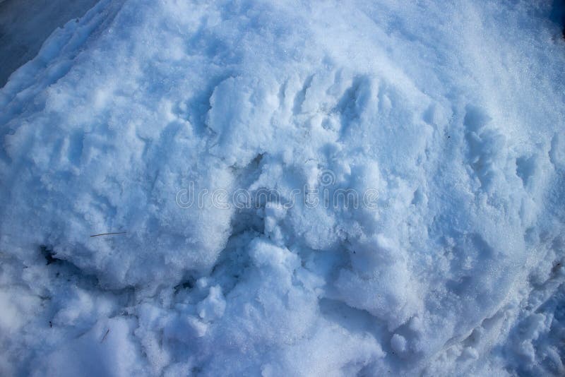Frosty Snow with Blue Shadows Stock Photo - Image of frosty, deep ...